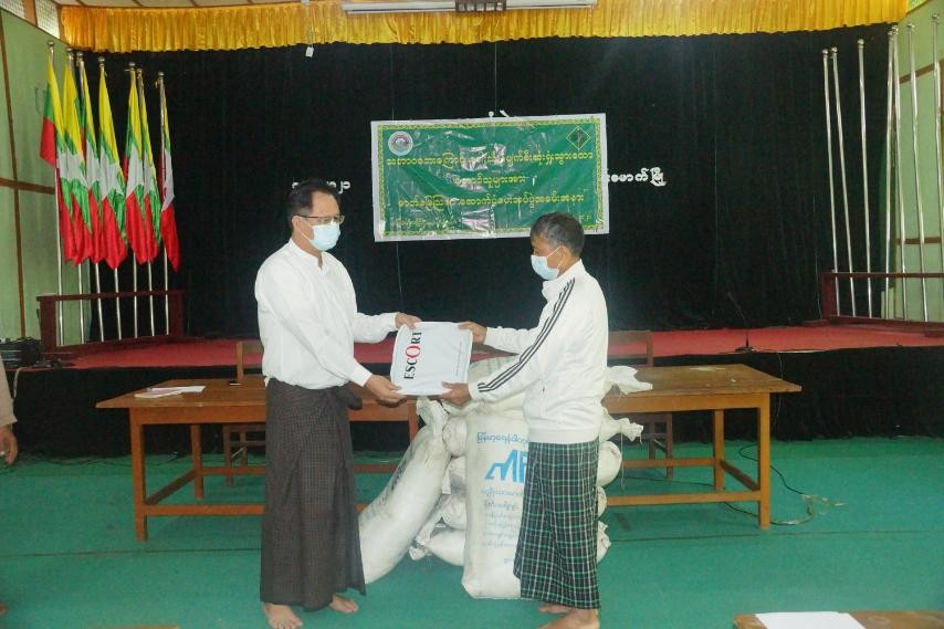 မိုးမောက်မြို့နယ်တွင် သဘာဝဘေးကြောင့် မိုးစပါးသီးနှံပျက်စီးဆုံးရှုံးသွားသည့် တောင်သူများအား ဓာတ်မ